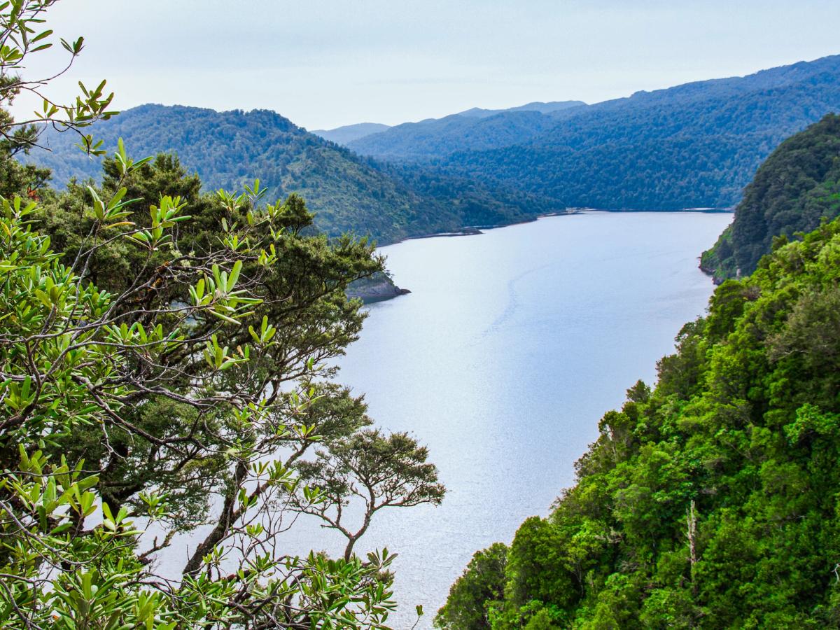 Te Urewera | Te Urawera - New Zealand Trip Ideas
