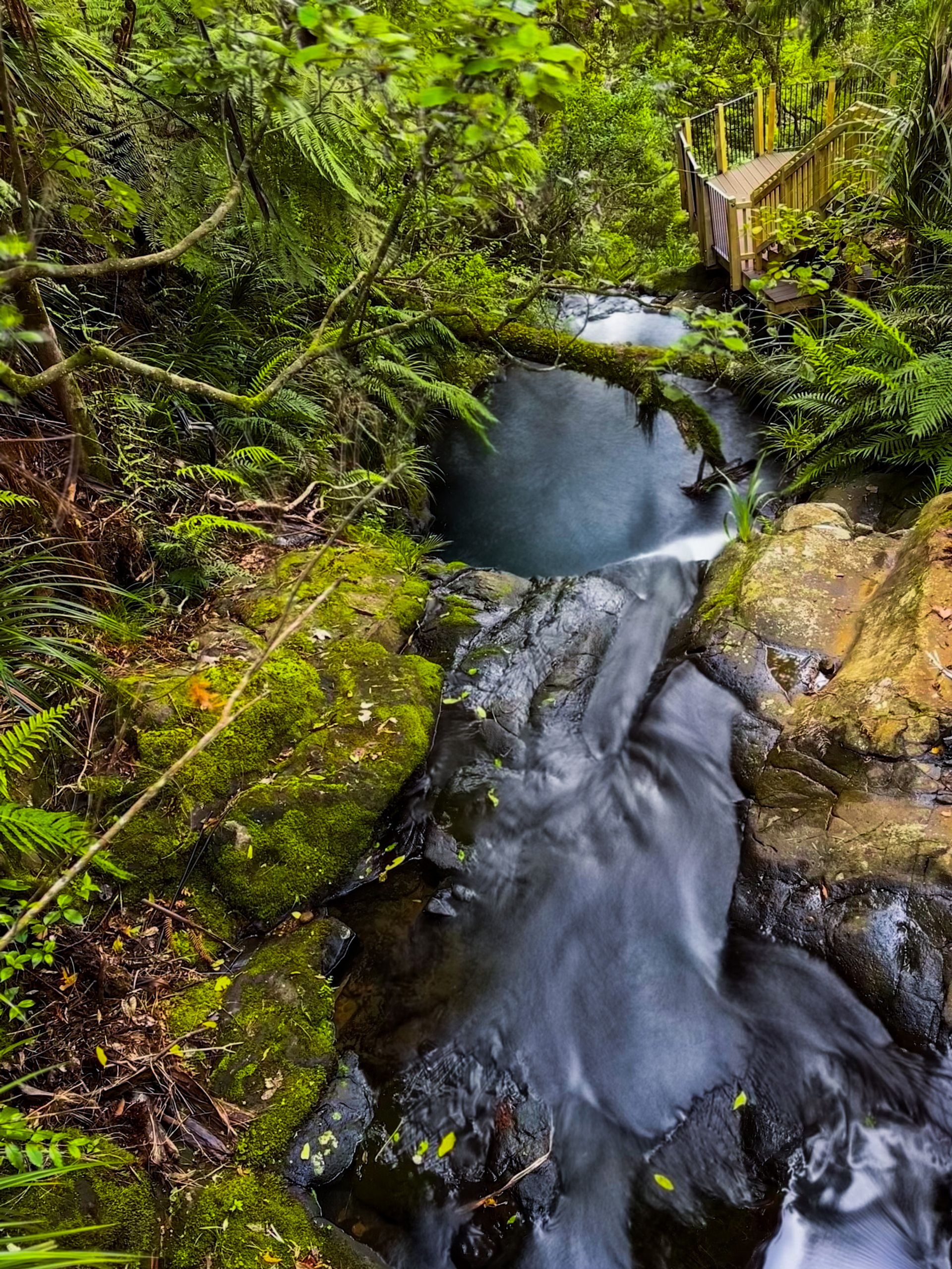 Fairy Falls | West Auckland - New Zealand Trip Ideas