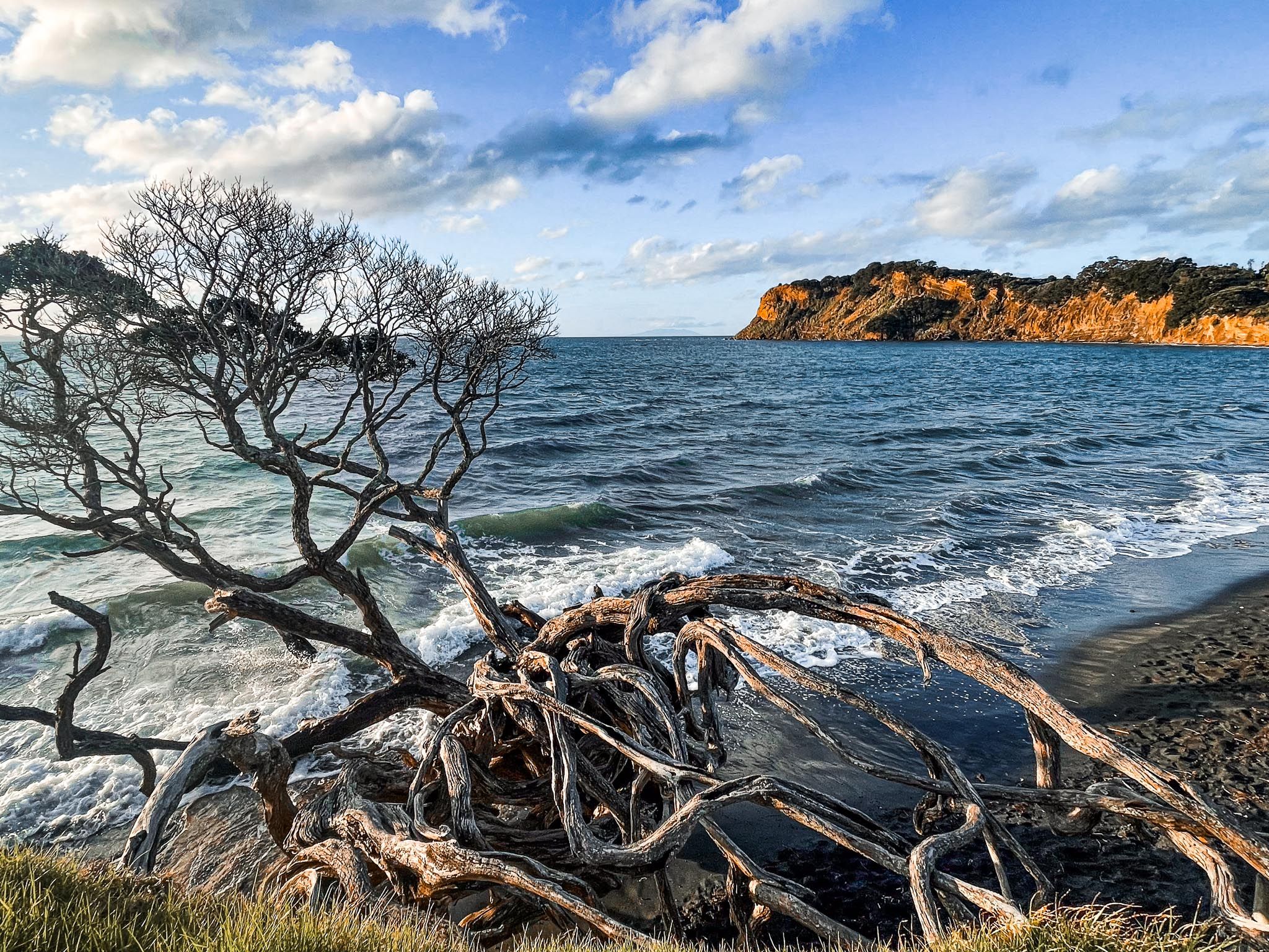 Hibiscus Coast | North Auckland - New Zealand Trip Ideas