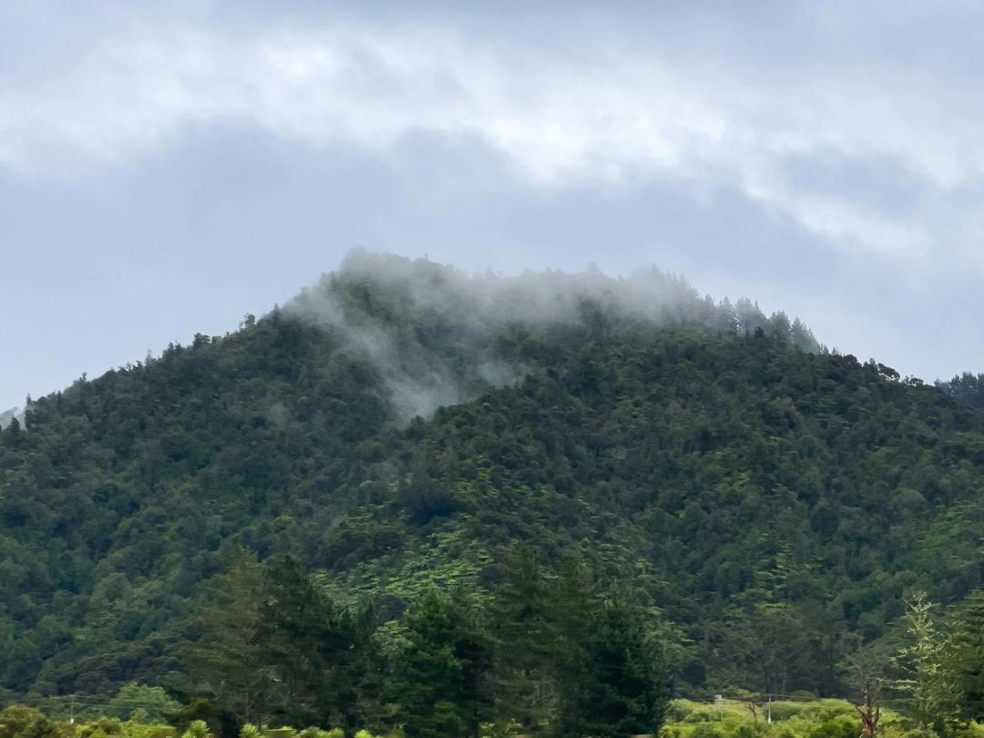 Taupiri | North Waikato - New Zealand Trip Ideas