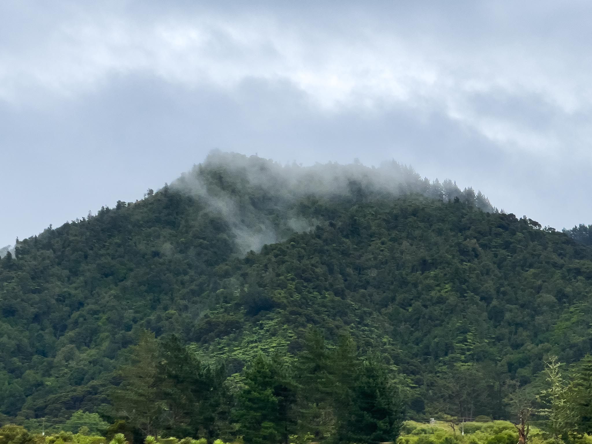 Taupiri | North Waikato - New Zealand Trip Ideas