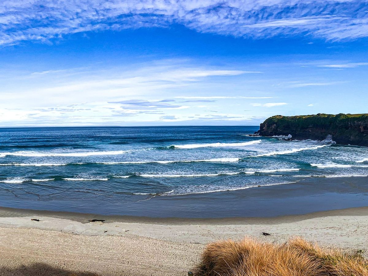 Tomahawk Beach | Dunedin - New Zealand Trip Ideas