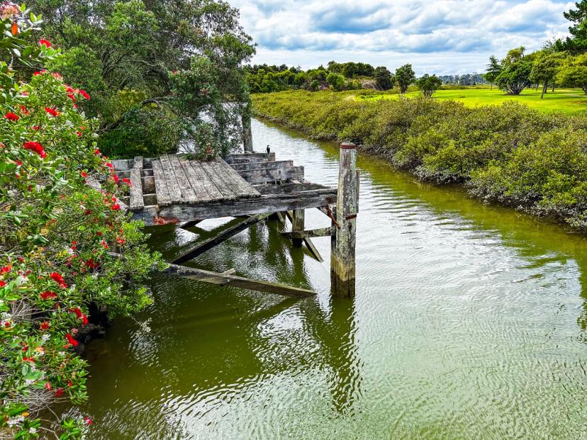 Whitford | East Auckland - New Zealand Trip Ideas