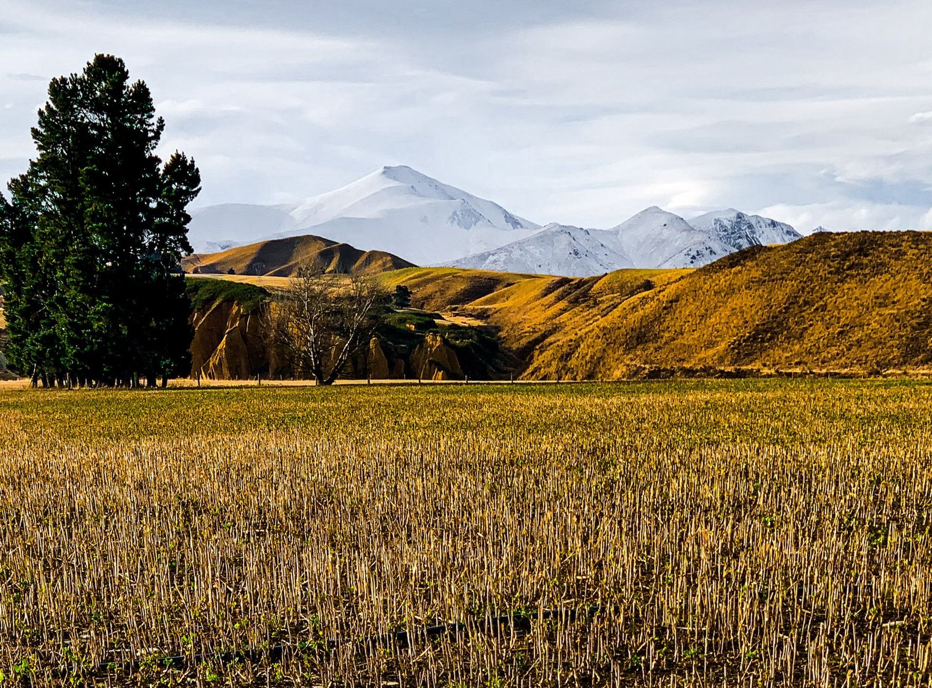Danseys Pass Road | Central Otago - New Zealand Trip Ideas