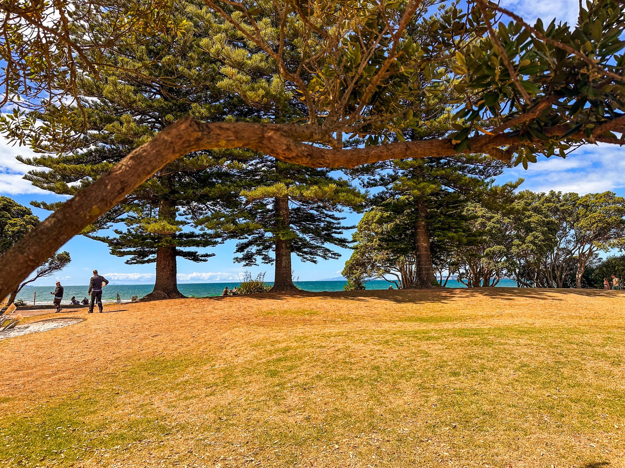 Ōrewa | North Auckland - New Zealand Trip Ideas
