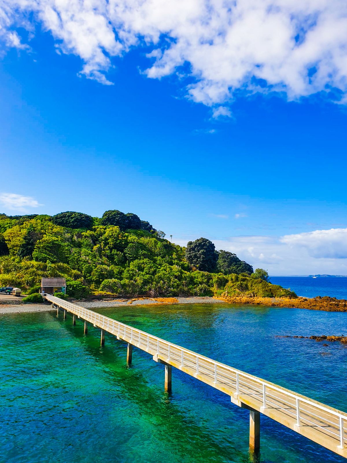 Tiritiri Matangi Island | Hauraki Gulf Islands - New Zealand Trip Ideas