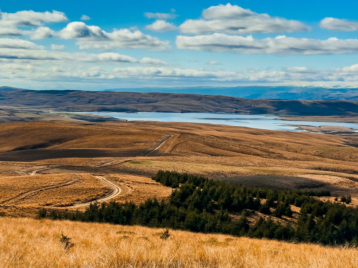 Lake Onslow: Remote Drives in Beautiful Central Otago | Blog - New ...