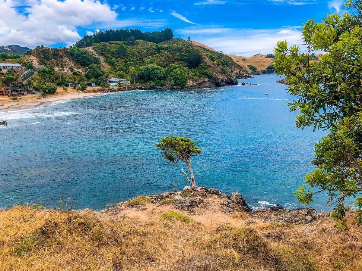 Matauri Bay | Far North - New Zealand Trip Ideas