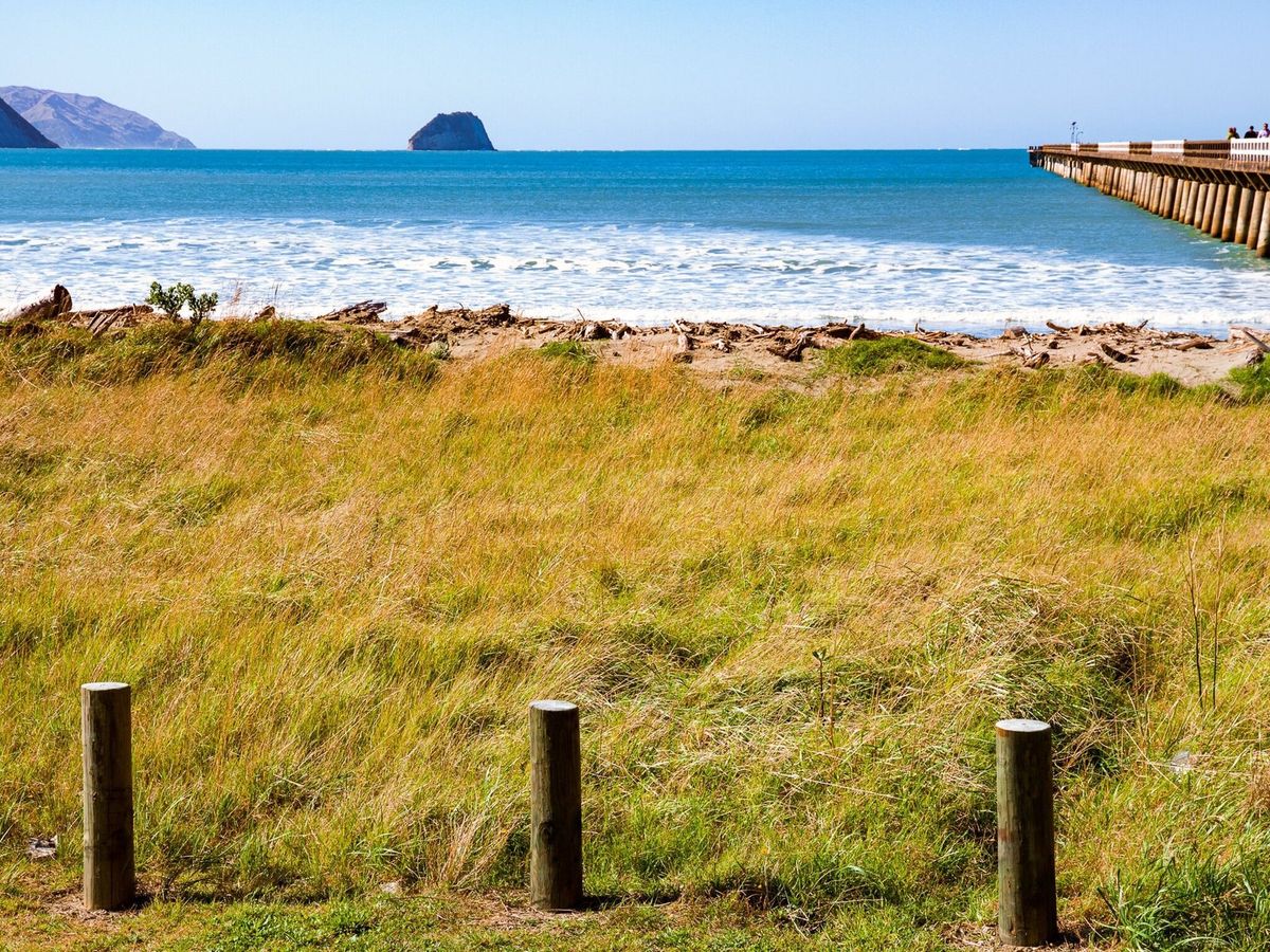 Tolaga Bay | East Cape - New Zealand Trip Ideas