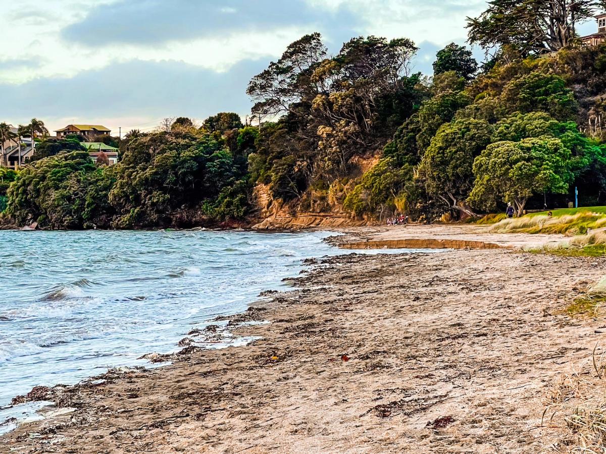 Big Manly Beach | North Auckland - New Zealand Trip Ideas