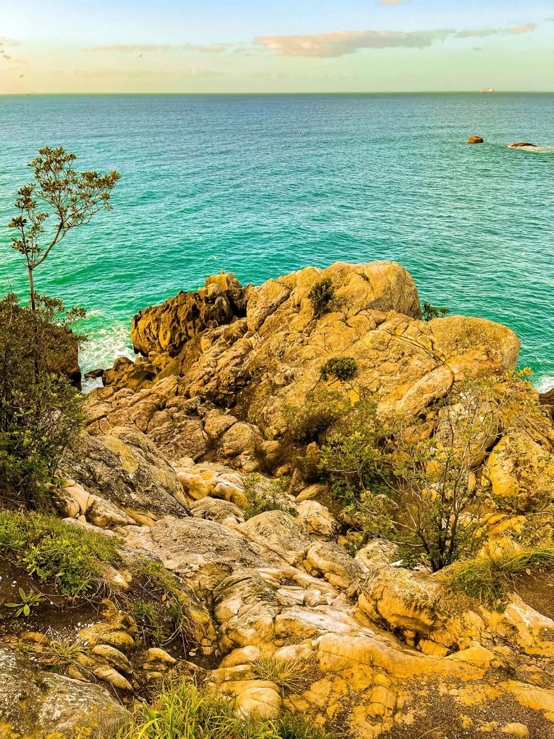 Moturiki Island | Tauranga - New Zealand Trip Ideas