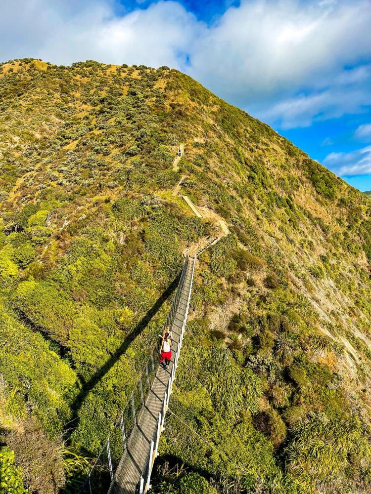 Paekākāriki Escarpment Track | Kāpiti Coast - New Zealand Trip Ideas