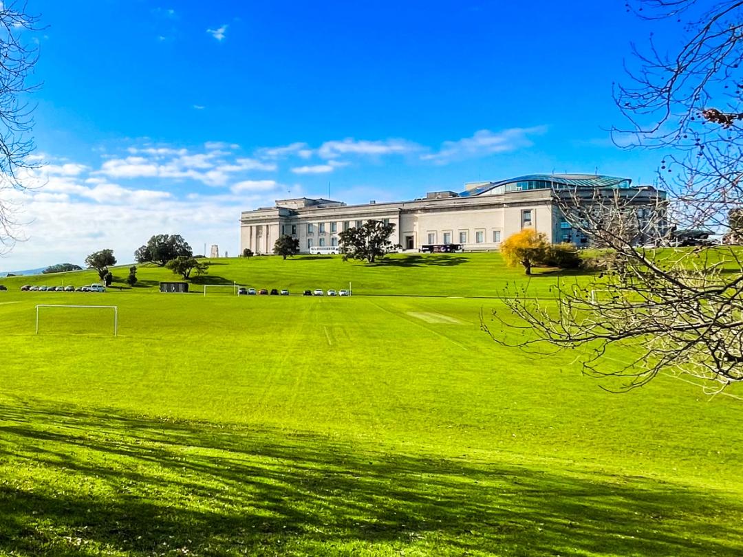 Auckland City | Central Auckland - New Zealand Trip Ideas