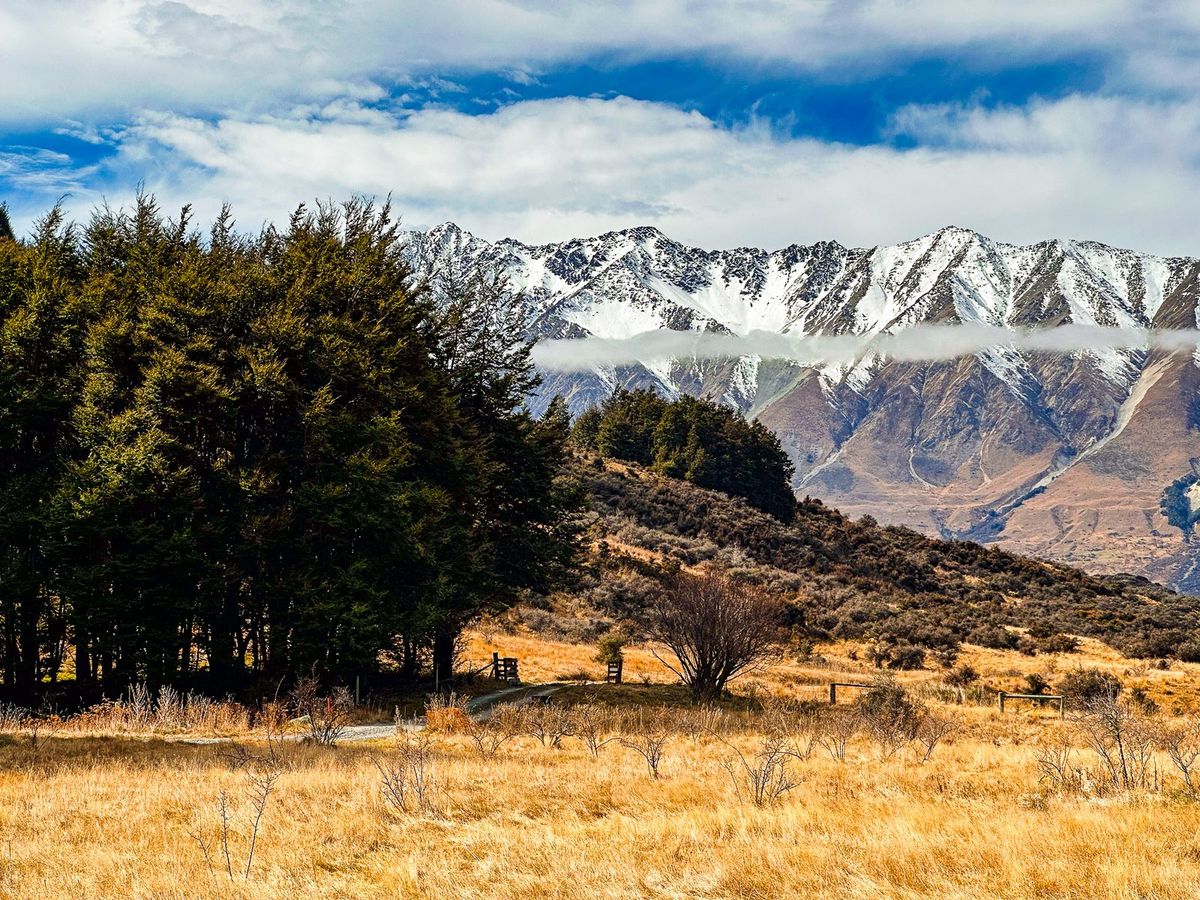 Temple Campsite and Tracks | Mackenzie Country - New Zealand Trip Ideas