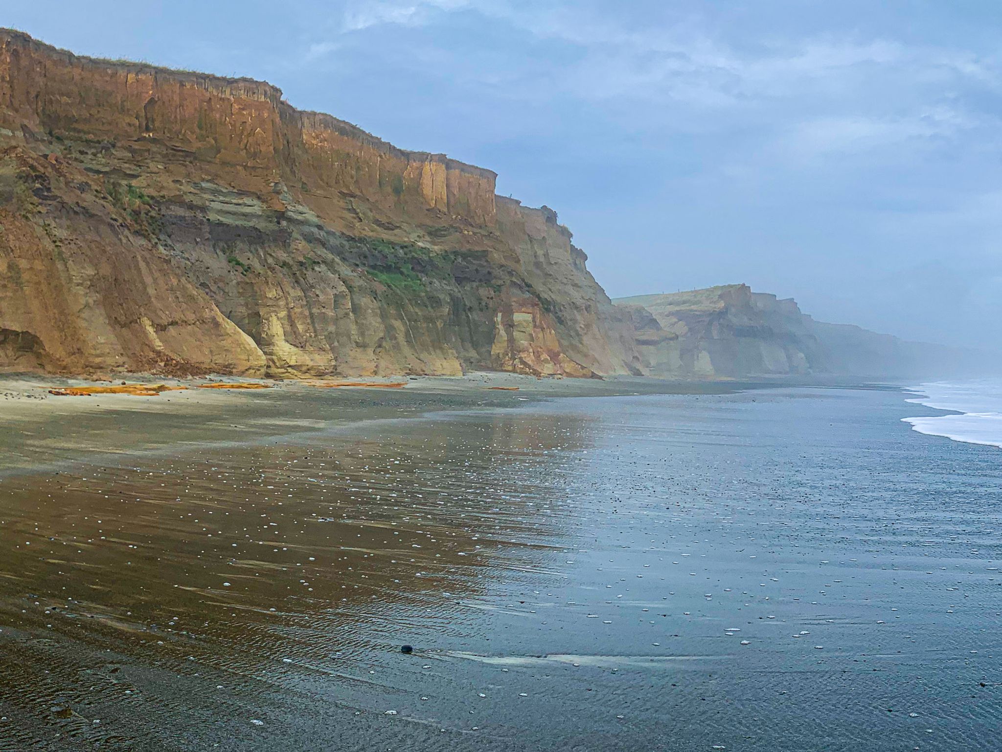 Gemstone Beach | Southland - New Zealand Trip Ideas