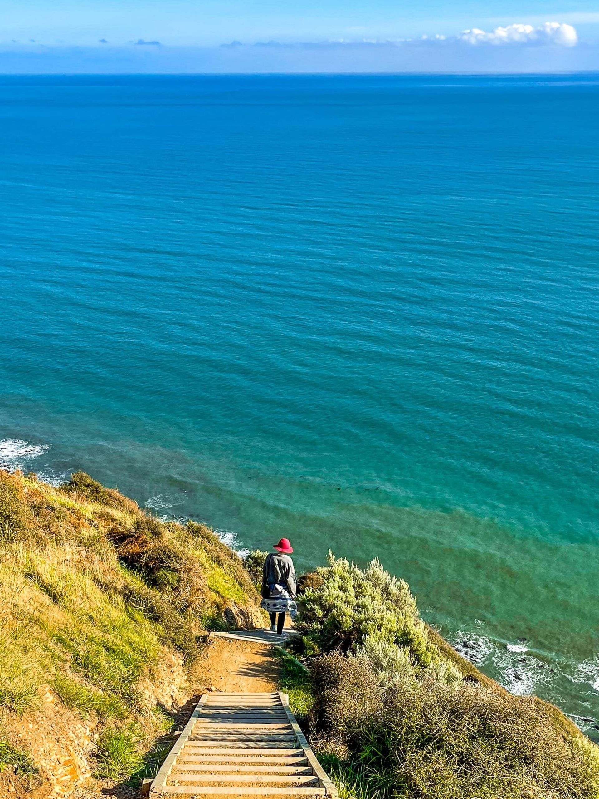 Paekākāriki Escarpment Track | Kāpiti Coast - New Zealand Trip Ideas