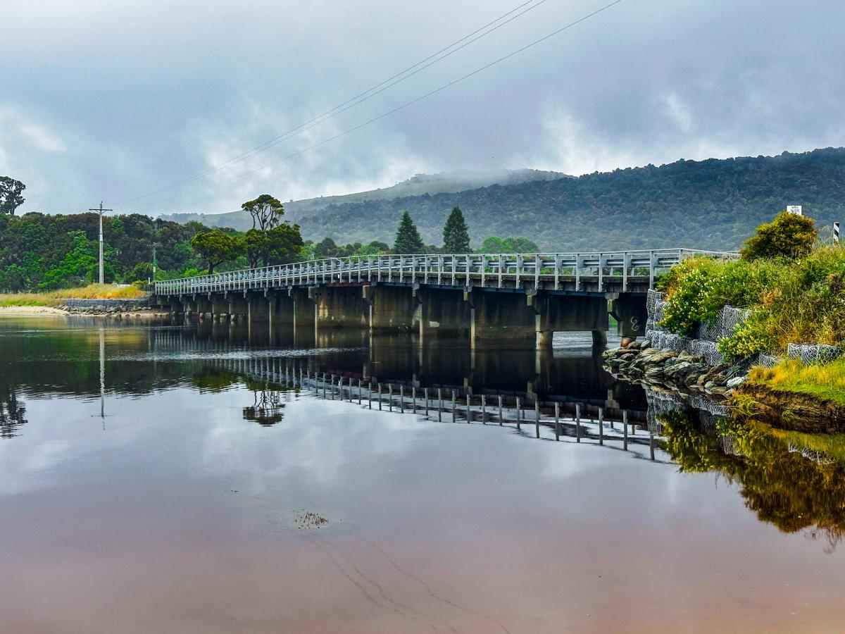 Papatowai | Catlins - New Zealand Trip Ideas