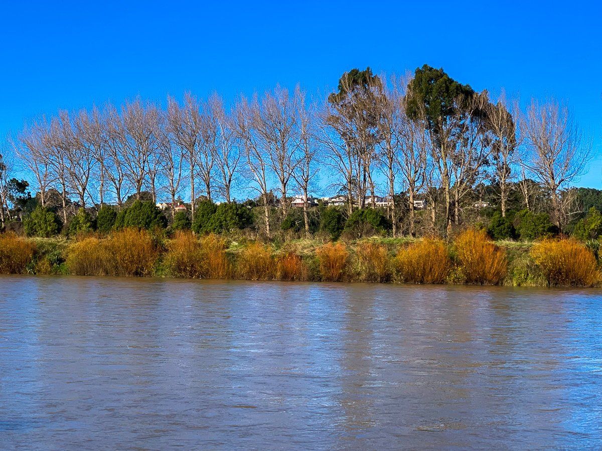 Exploring around the Manawatu Gorge | Blog - New Zealand Trip Ideas