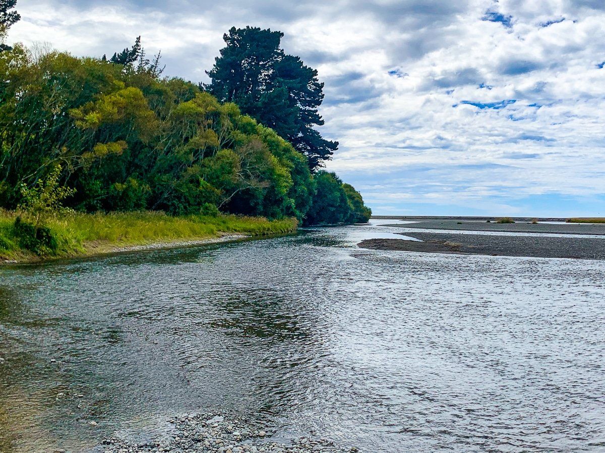Hurunui Mouth, Gore Bay and Kaikoura - Trip Ideas