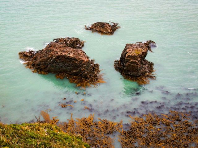Nugget Point | Catlins - New Zealand Trip Ideas