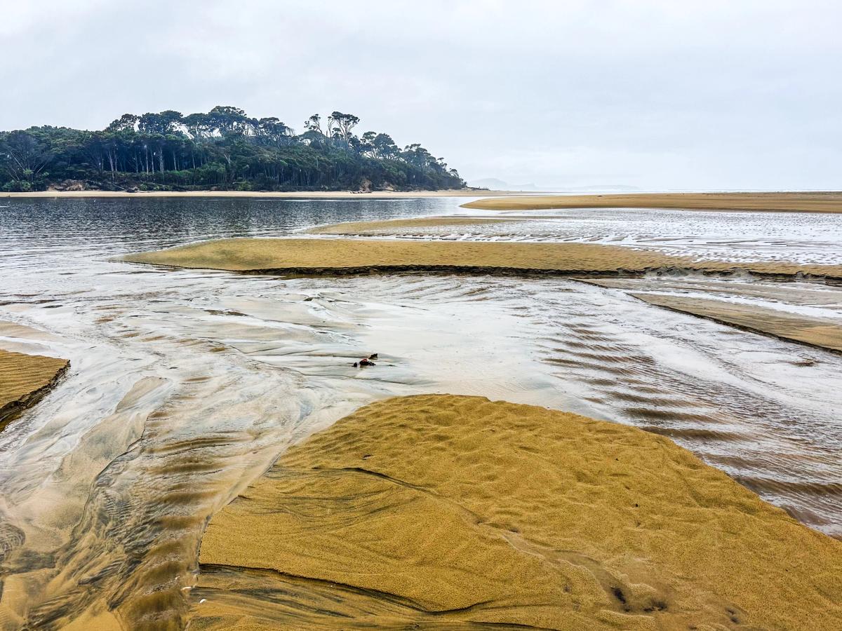 Papatowai | Catlins - New Zealand Trip Ideas