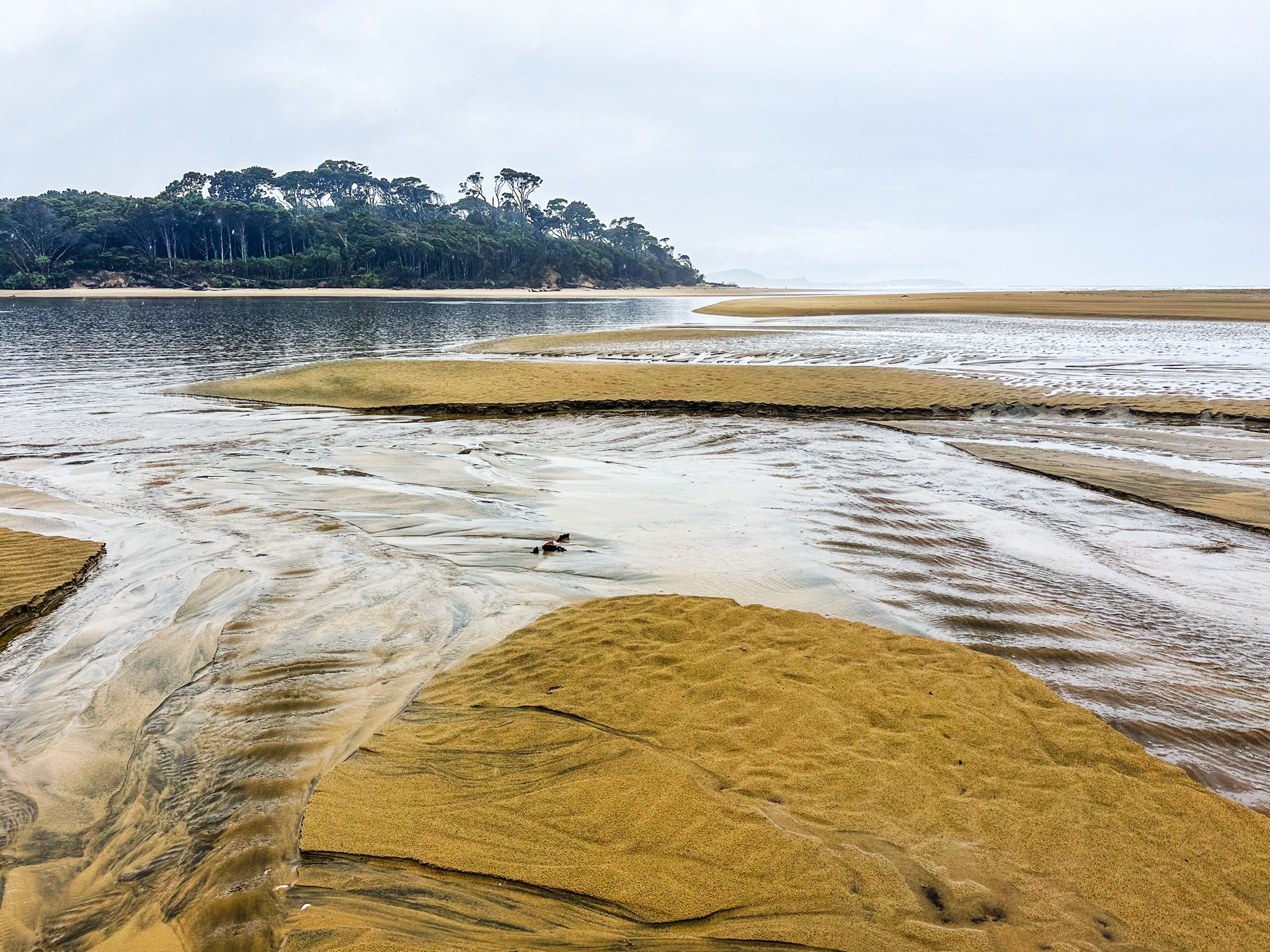 Papatowai | Catlins - New Zealand Trip Ideas