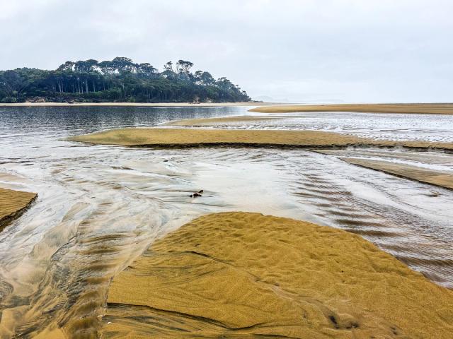 Papatowai | Catlins - New Zealand Trip Ideas
