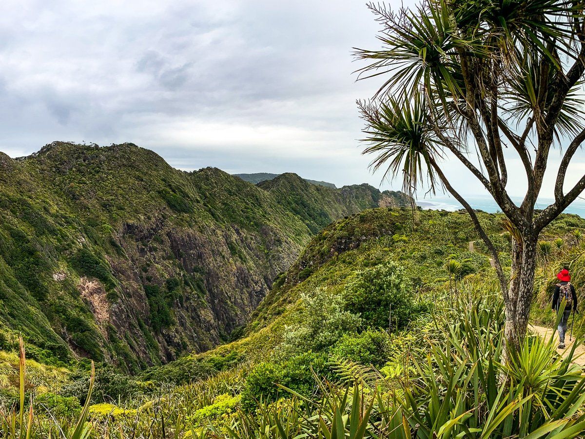 Mercer Bay Loop | West Auckland - New Zealand Trip Ideas