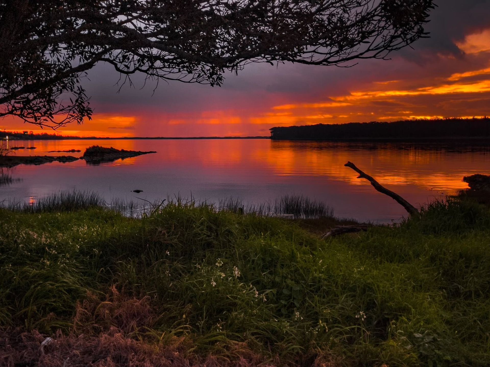 Waikato River | Waikato West Coast - New Zealand Trip Ideas