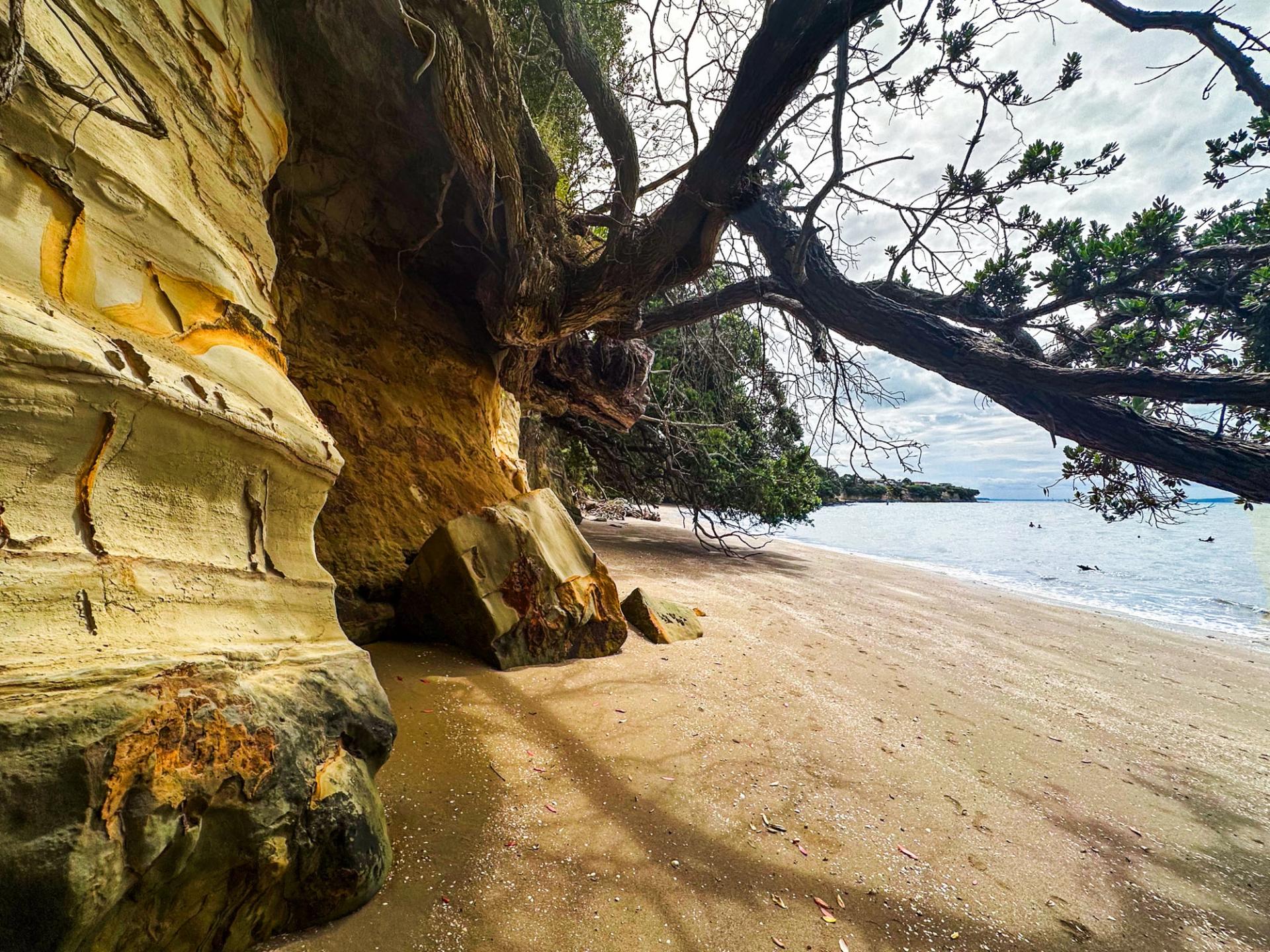 Beachlands | East Auckland - New Zealand Trip Ideas