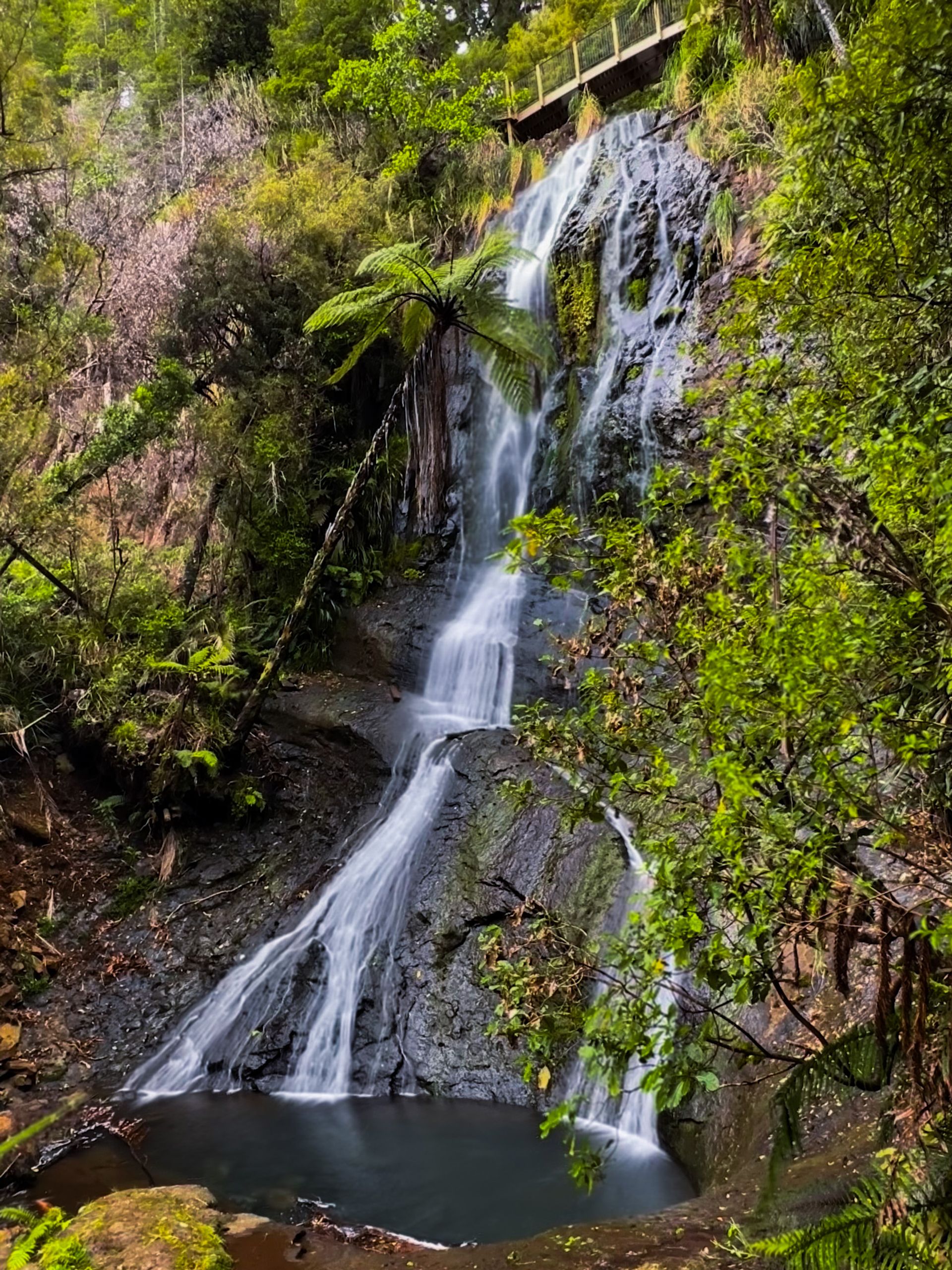 Fairy Falls | West Auckland - New Zealand Trip Ideas