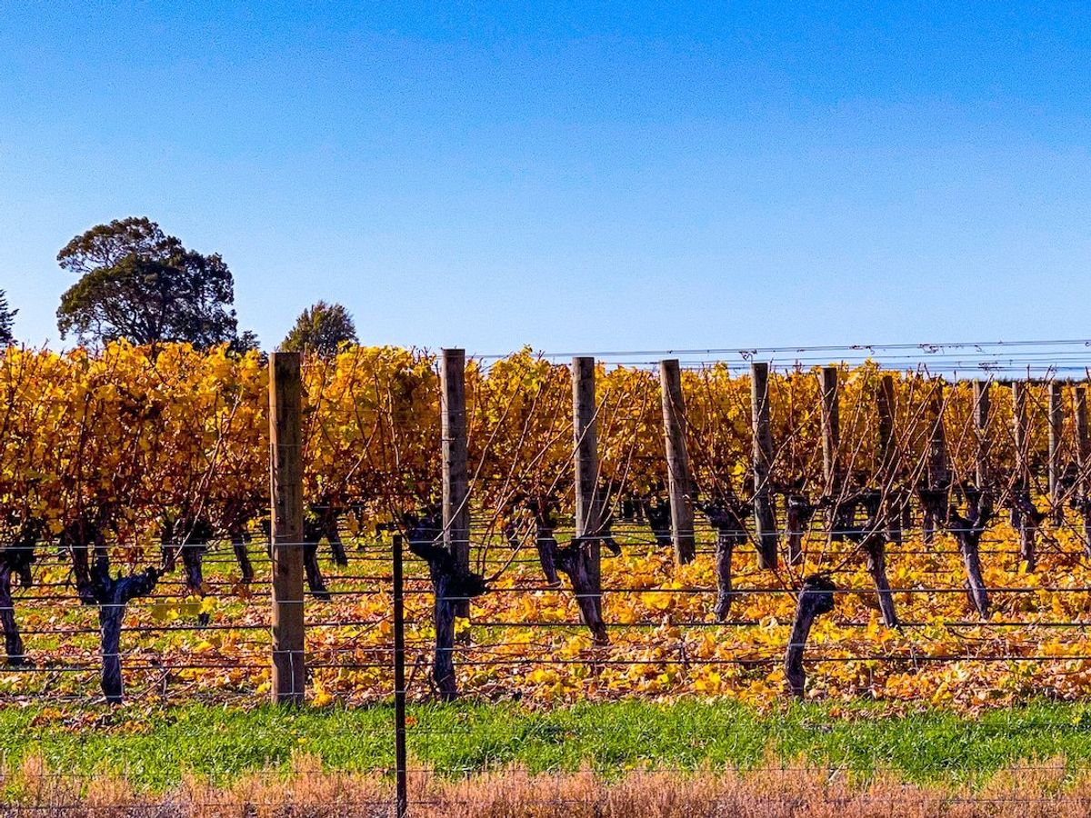 Awatere Valley | Marlborough - New Zealand Trip Ideas