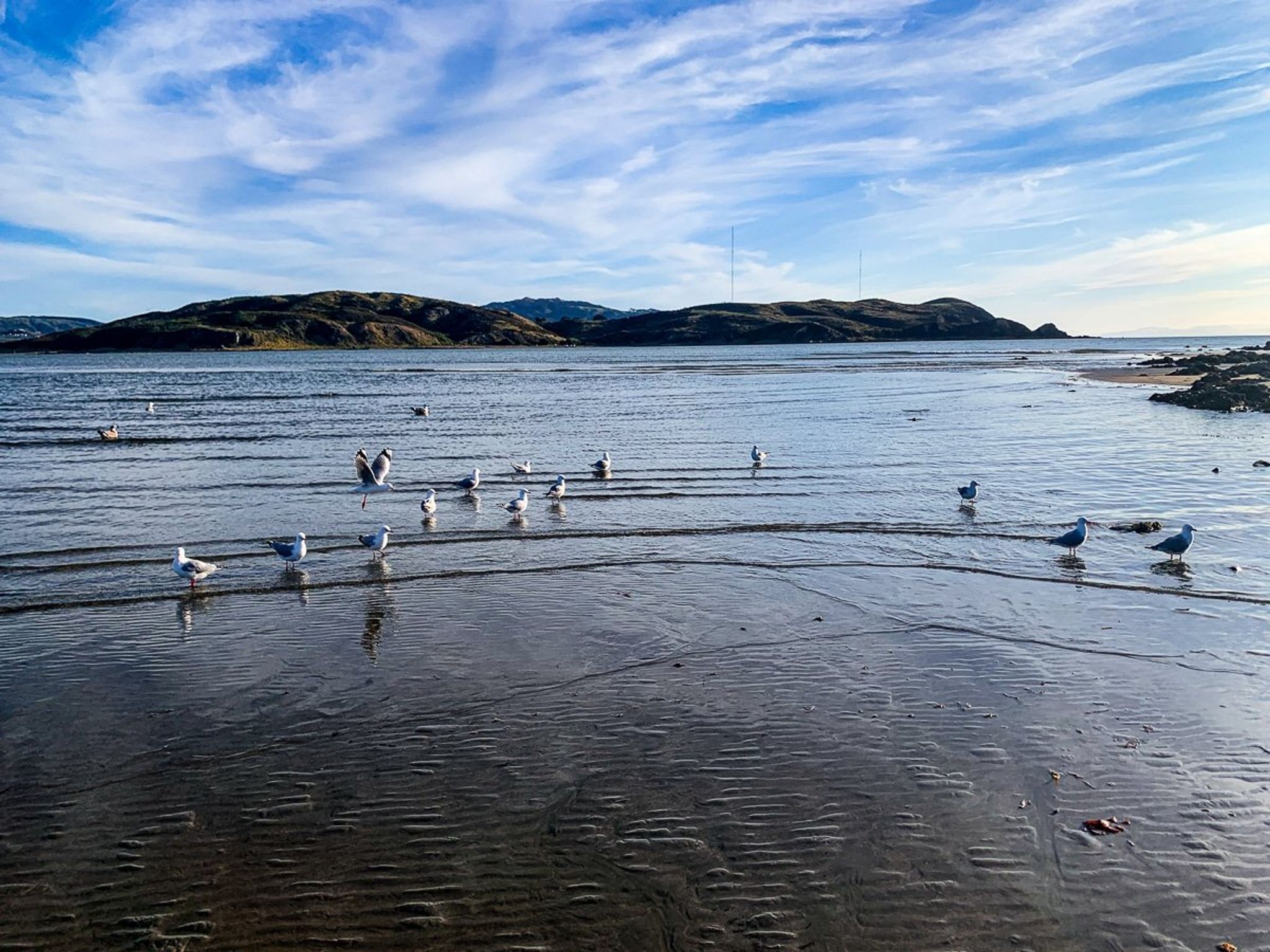 Plimmerton | Wellington City - New Zealand Trip Ideas