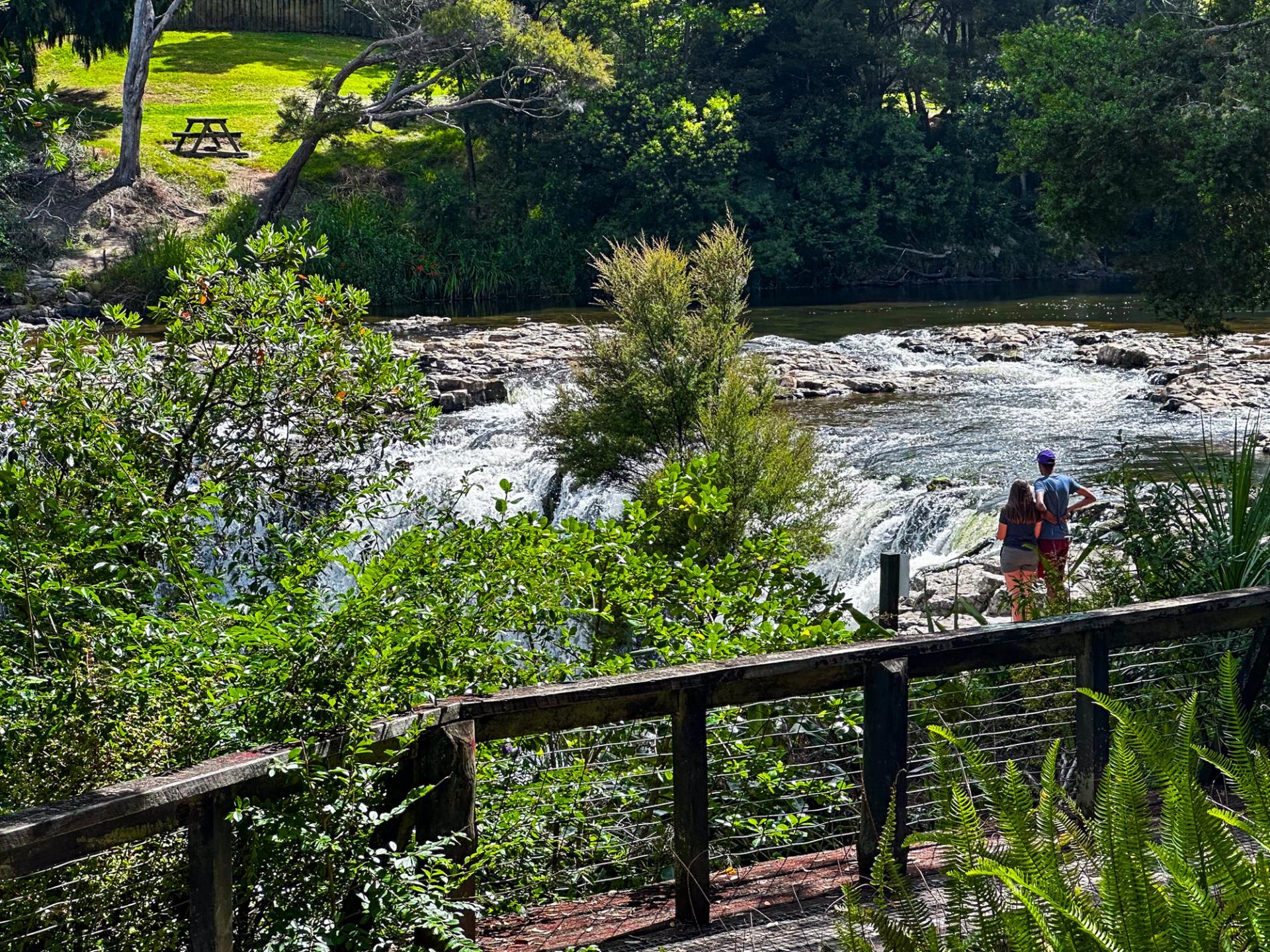 Haruru Falls - New Zealand Trip Ideas