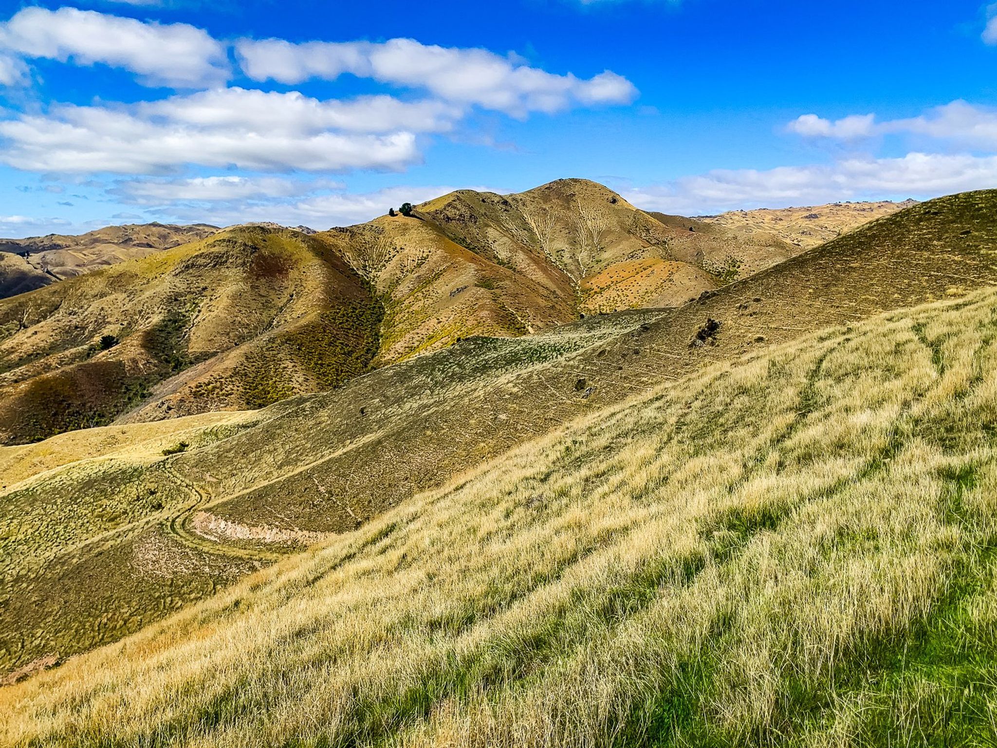The Nevis: Remote Drives in Beautiful Central Otago - Trip Ideas