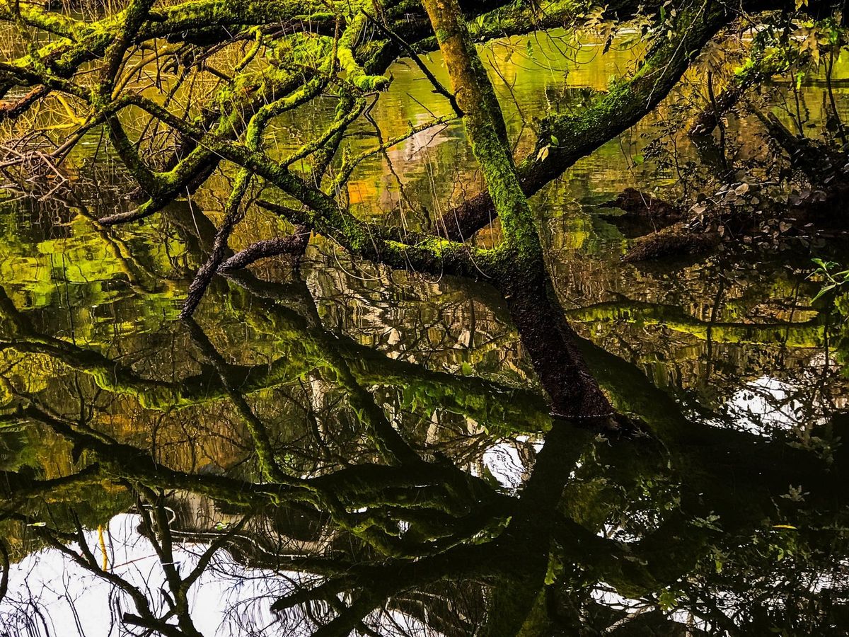 Waikato River | Waikato West Coast - New Zealand Trip Ideas