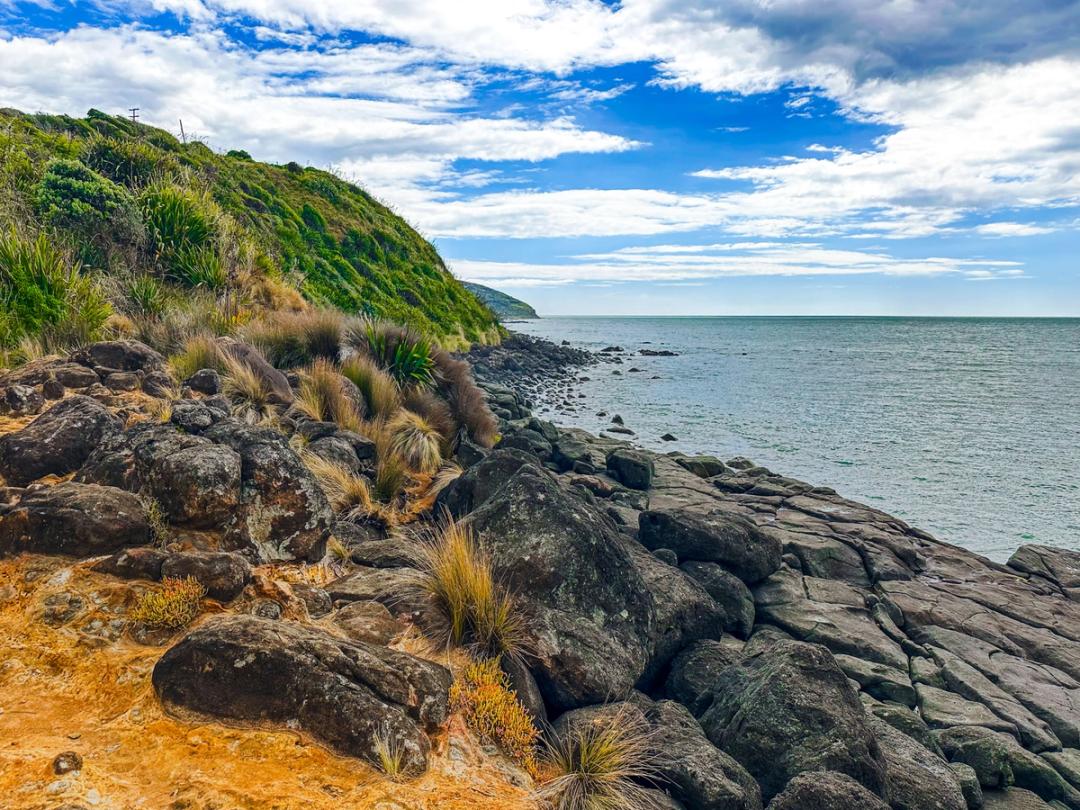 Manu Bay | Waikato West Coast - New Zealand Trip Ideas