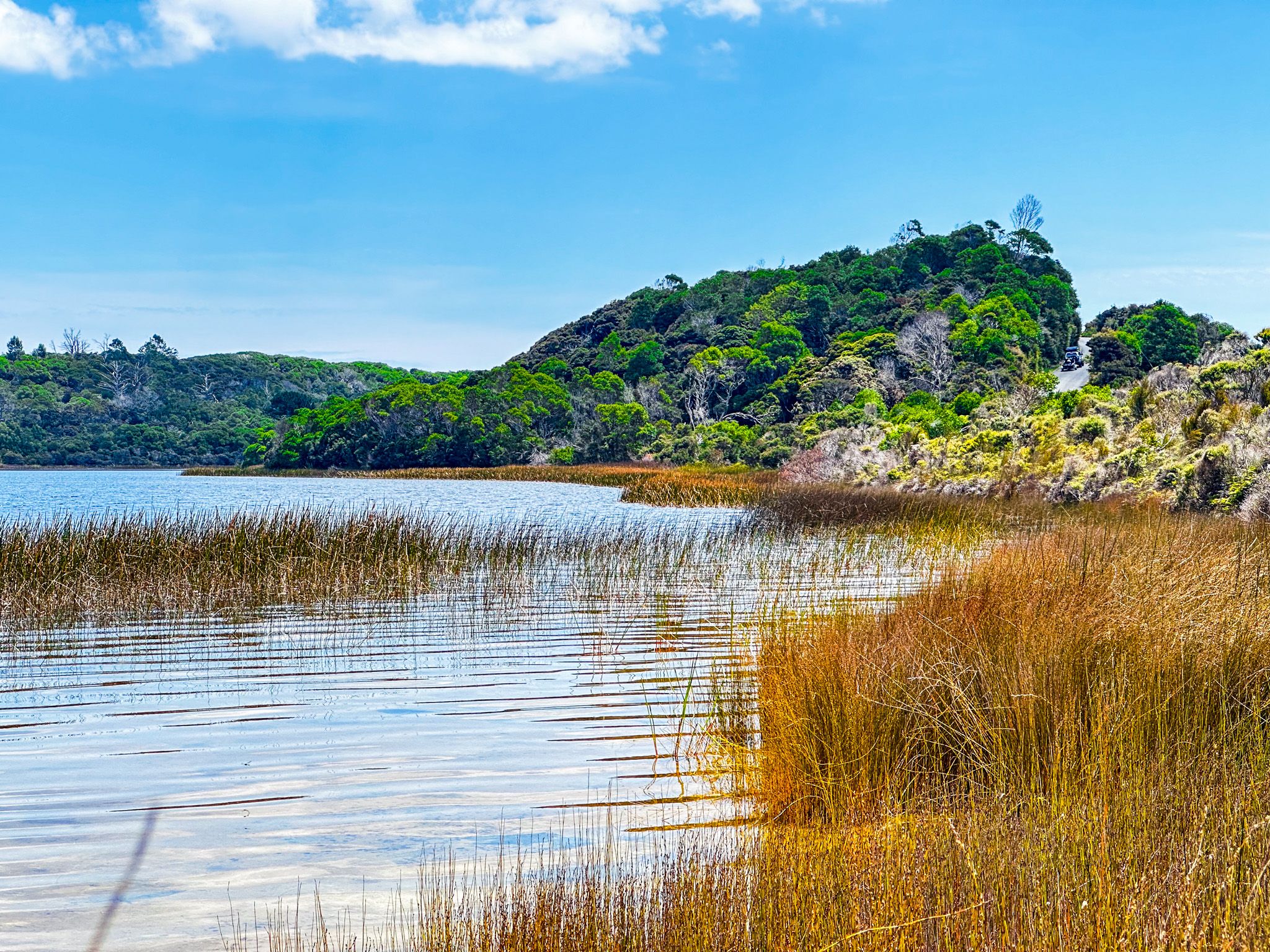 Kai Iwi Lakes | Kauri Coast - New Zealand Trip Ideas