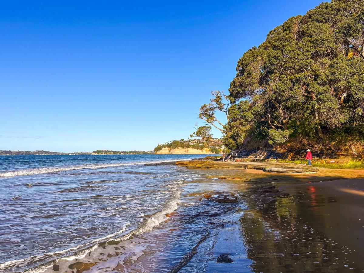 Red Beach | North Auckland - New Zealand Trip Ideas