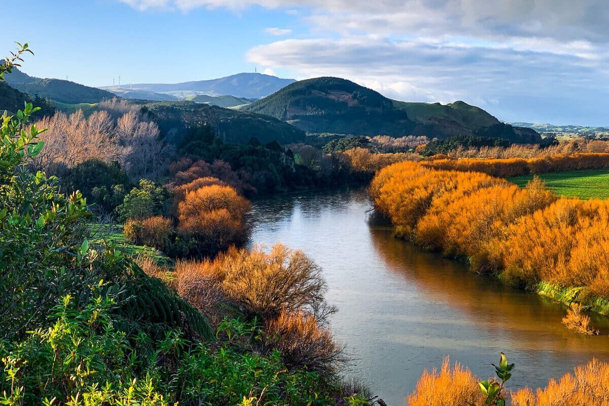 Exploring around the Manawatu Gorge | Blog - New Zealand Trip Ideas