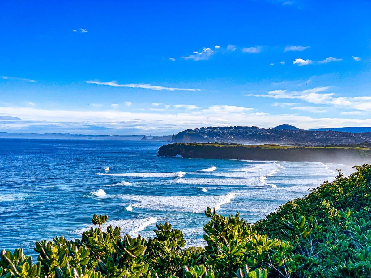 Remote Beauty of Otago Peninsula - Trip Ideas