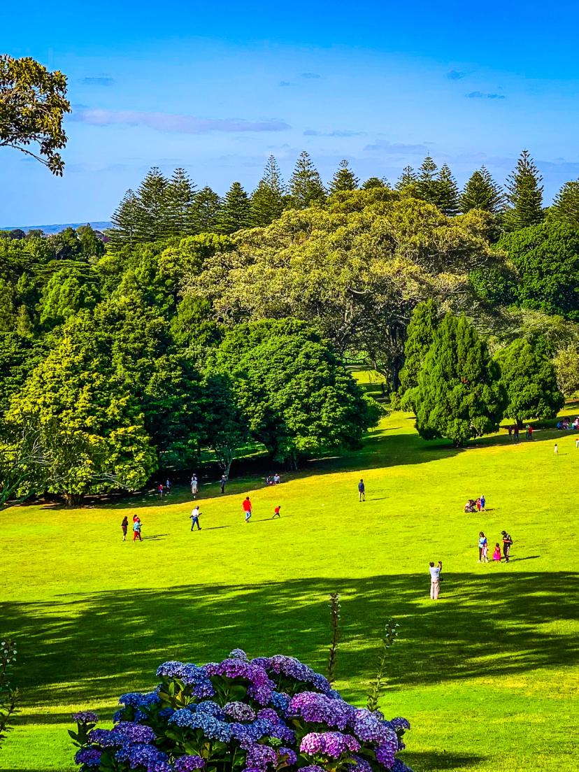 Cornwall Park Maungakiekie | Central Auckland - New Zealand Trip Ideas