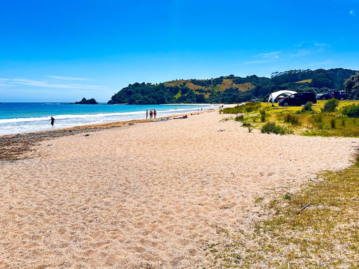 Te Ngaere - New Zealand Trip Ideas