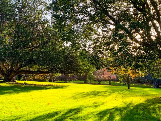 Auckland Domain Pukekawa | Central Auckland - New Zealand Trip Ideas