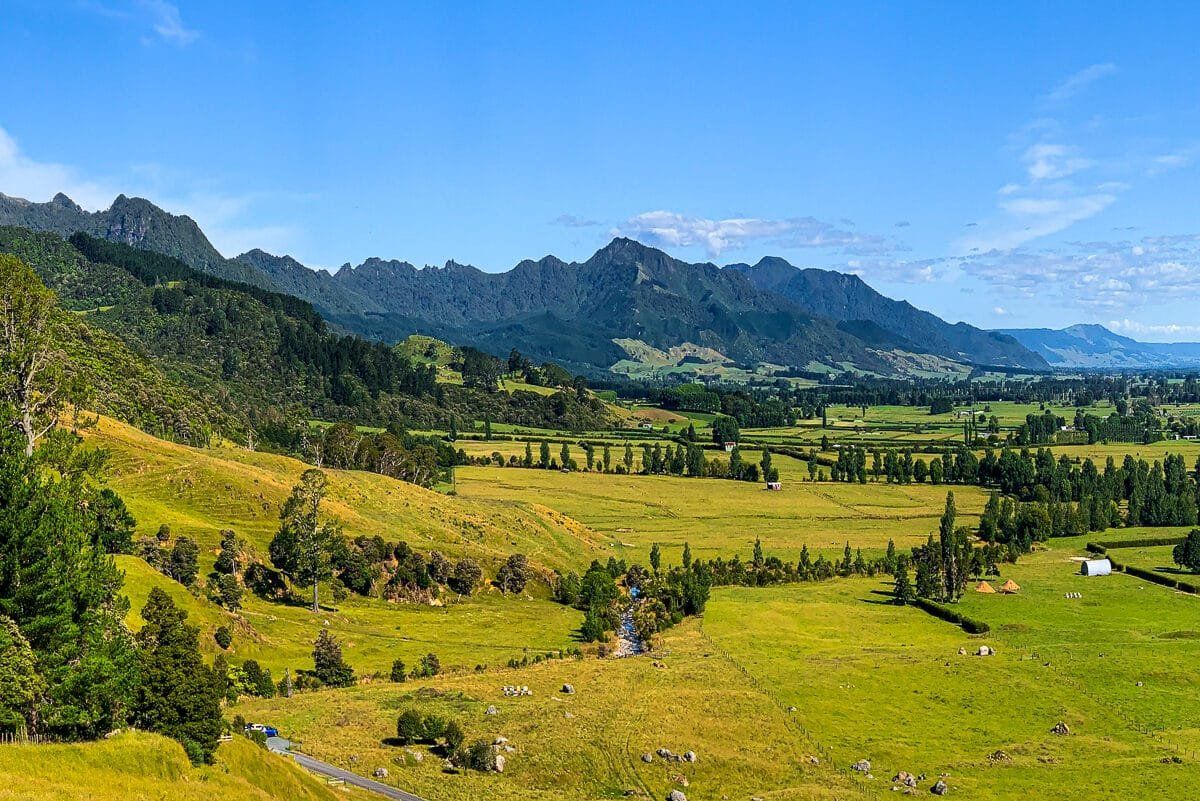 Adventures in the Kaimai Range - Trip Ideas