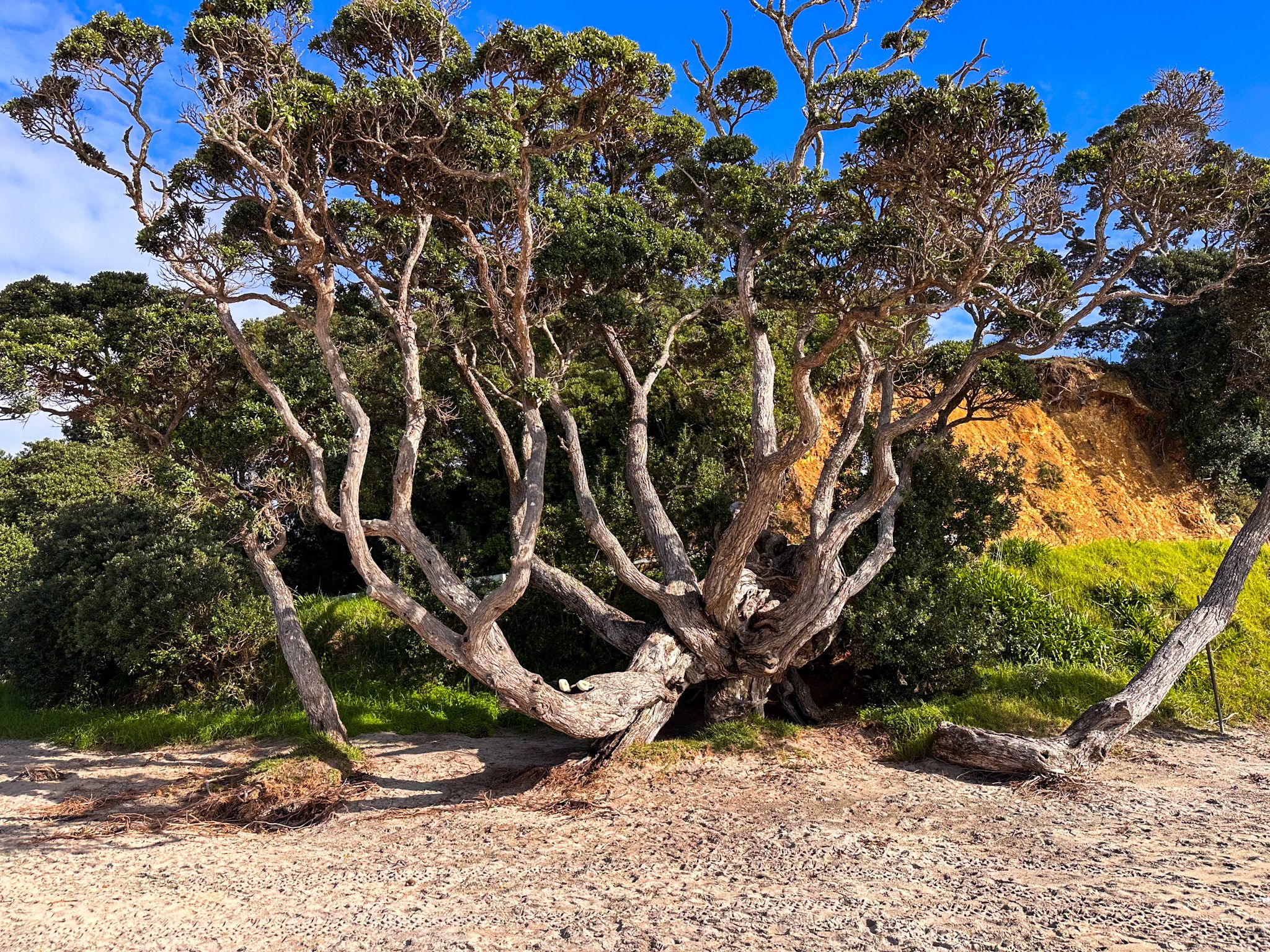 Langs Beach | Tutukaka Coast and Whangārei - New Zealand Trip Ideas