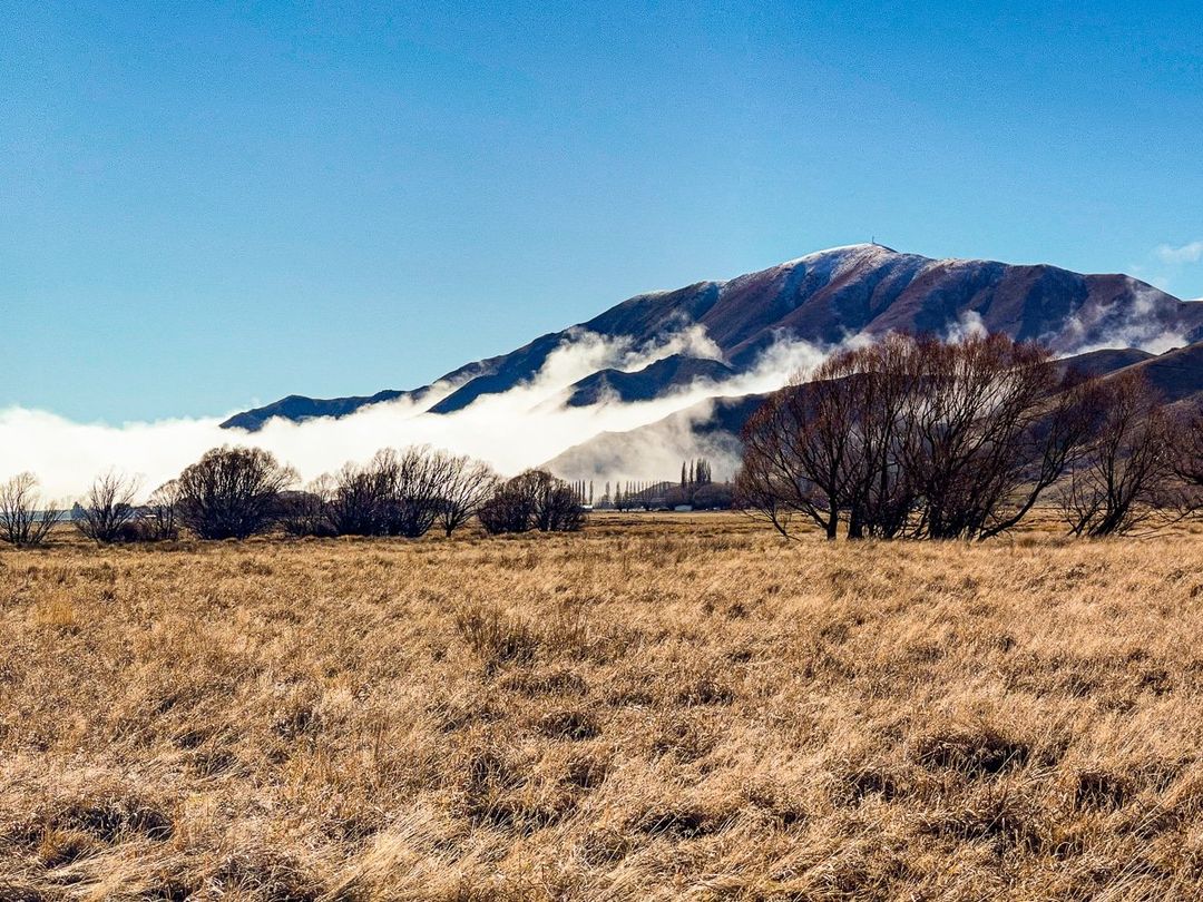 Mackenzie Basin | Mackenzie Country - New Zealand Trip Ideas