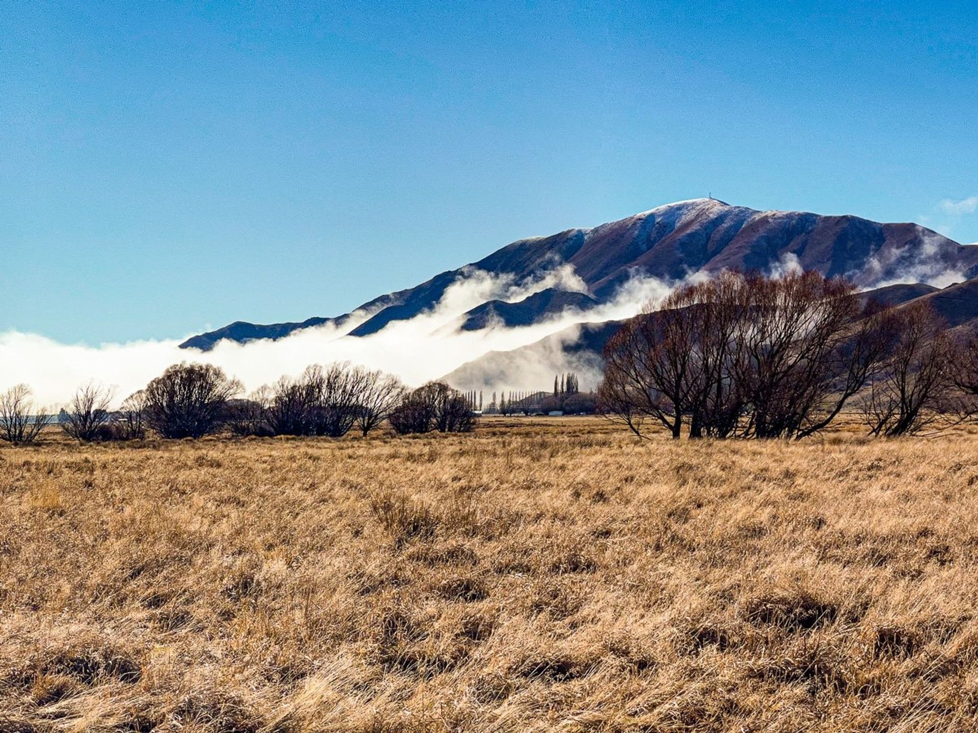 Mackenzie Basin | Mackenzie Country - New Zealand Trip Ideas
