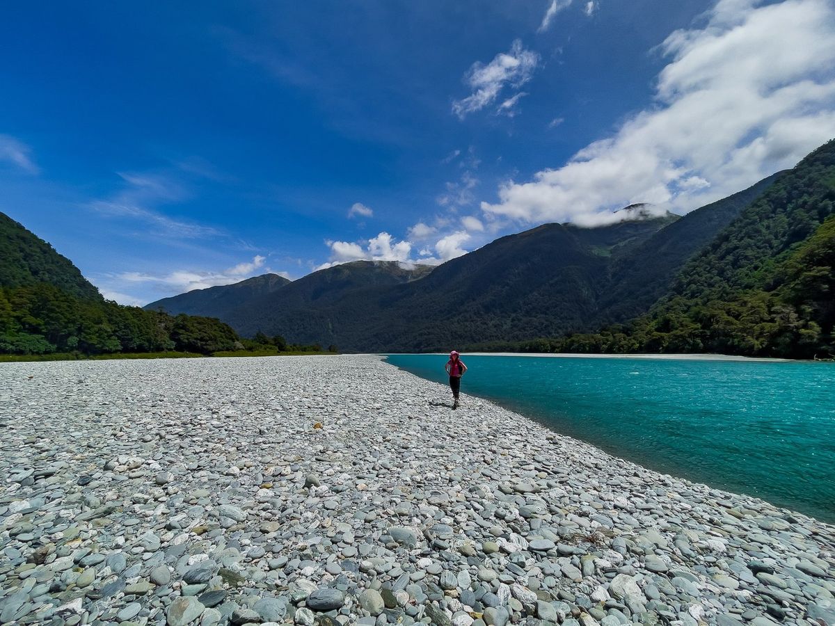 Return to the Rugged West Coast: South Westland | Blog - New Zealand ...