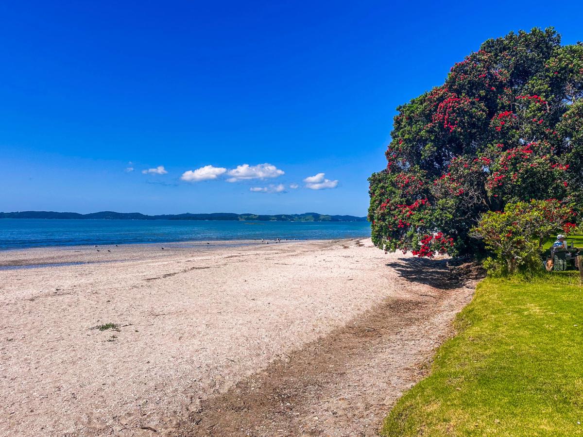 Ōmana Beach | East Auckland - New Zealand Trip Ideas